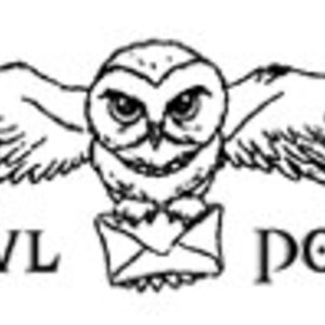 Owl Post : Harry Potter Hedwig Owl Post Mail Self-inking Rubber Chop ...