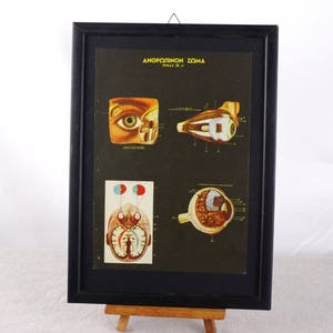 Human Eye Anatomy Poster, Ophthalmology Print, Ophthalmology Poster ...