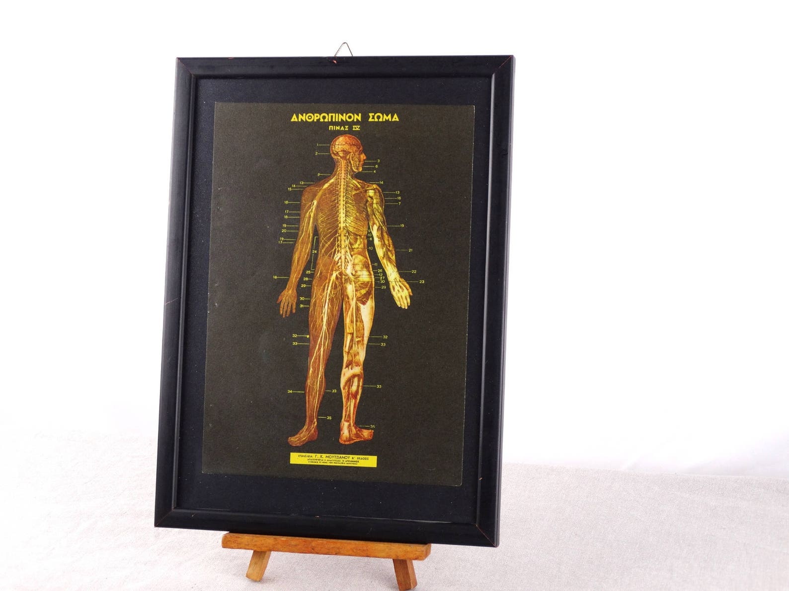 Nervous System Poster Neurology Poster Neurology Print - Etsy