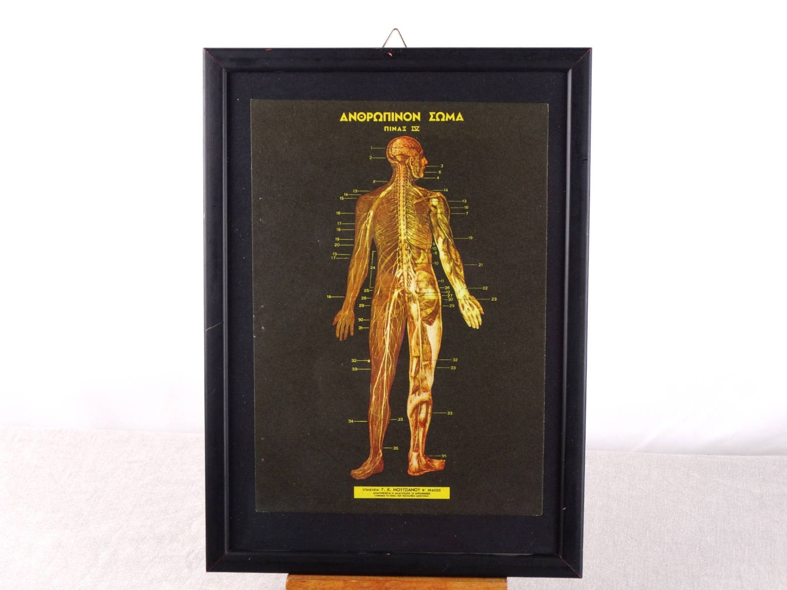 Nervous System Poster Neurology Poster Neurology Print - Etsy