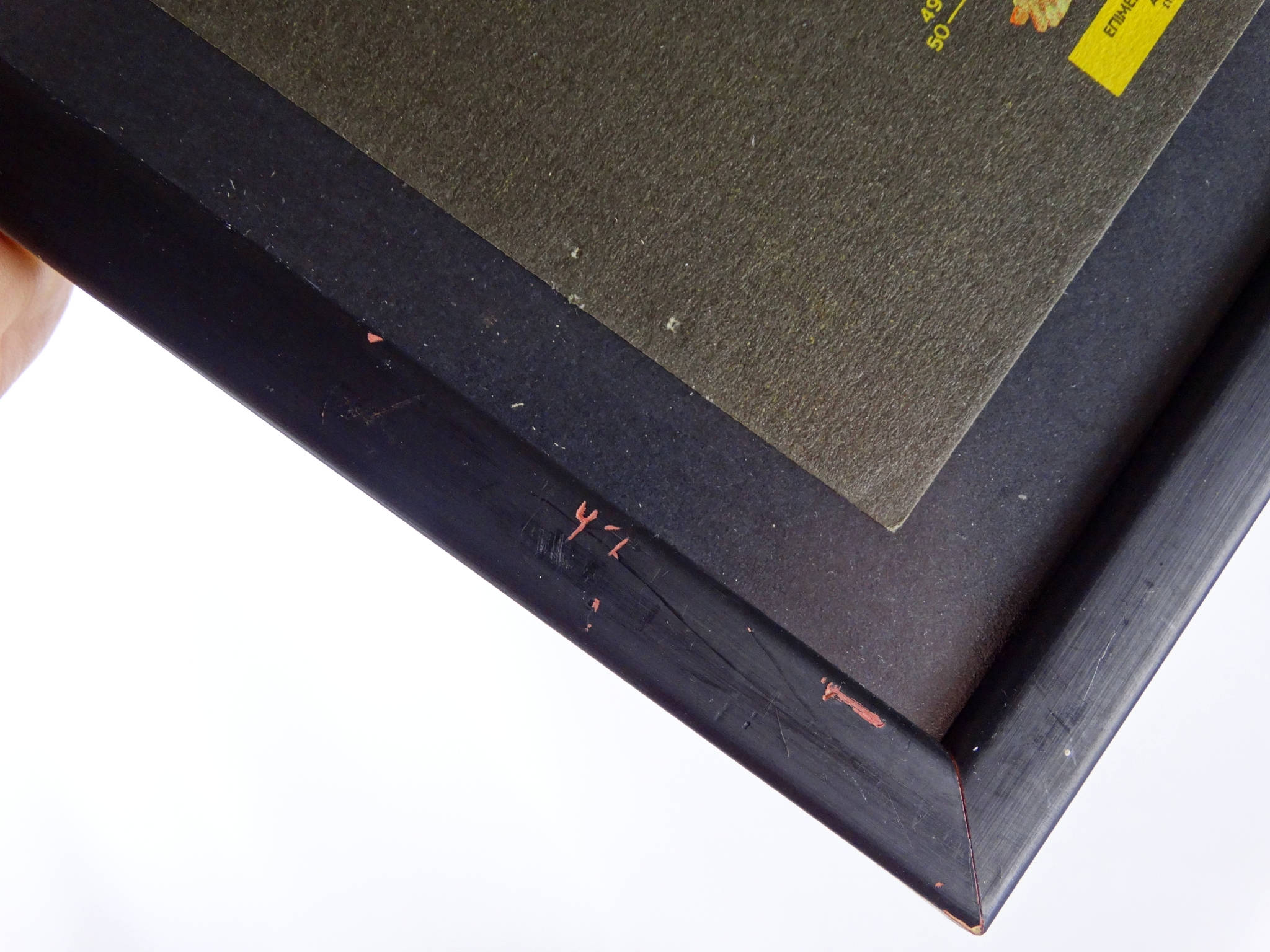 Muscular System Poster Anatomy Poster Human Anatomy Print | Etsy