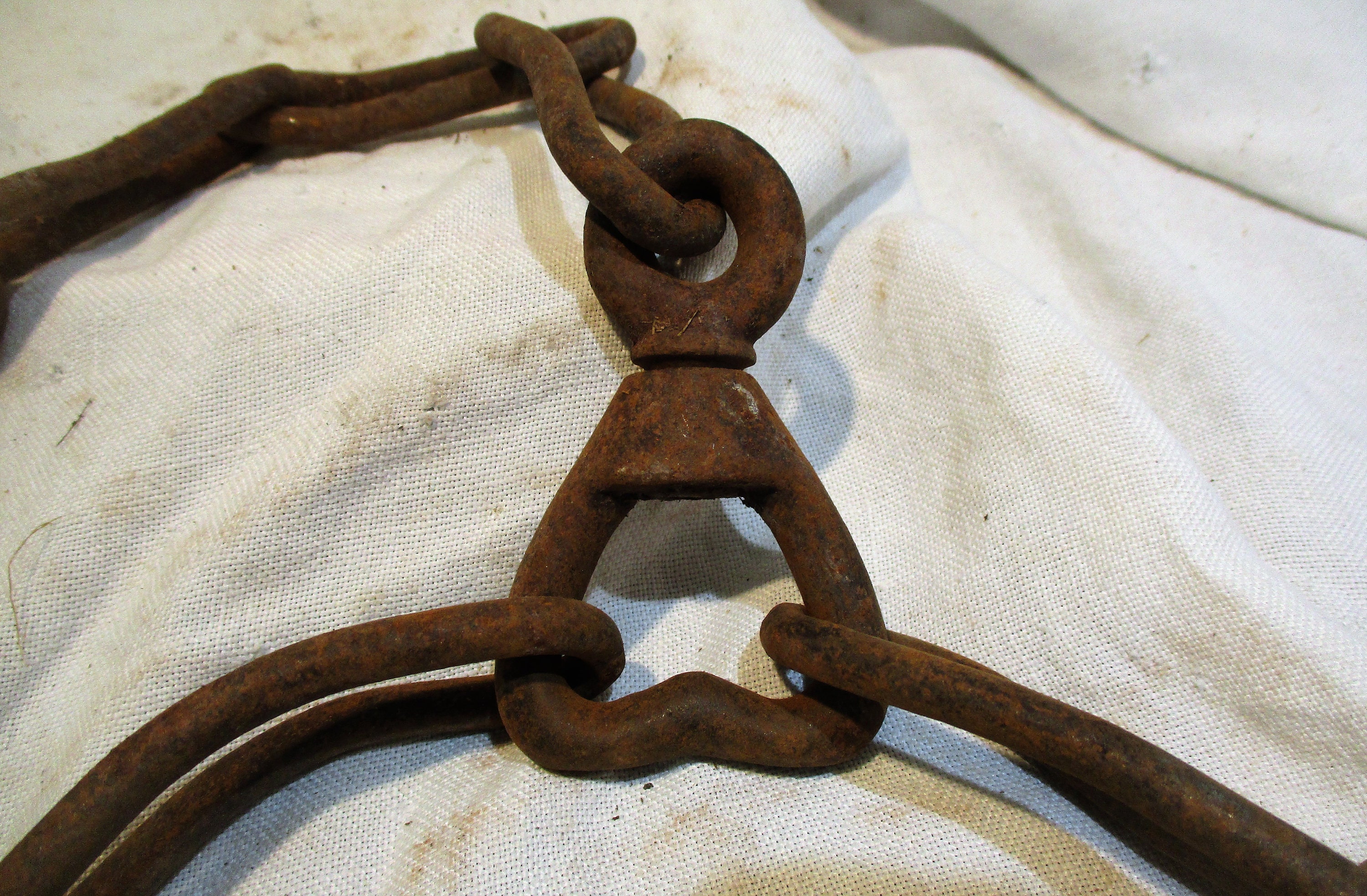 Farm or Veterinary Chain Very Old and Worn Hog Turner Large | Etsy