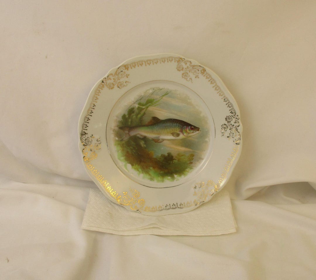 Decorative Fish Plate, Antique Bavarian or Austrian Plate, Old German ...