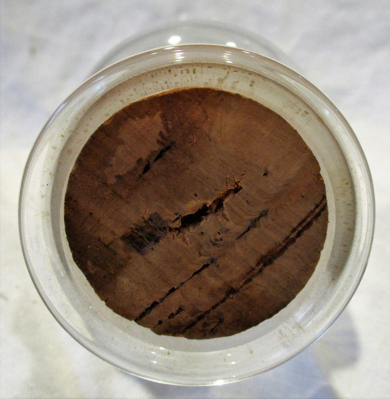 Laboratory Beaker Vintage Hand Blown German Apothecary Glass | Etsy