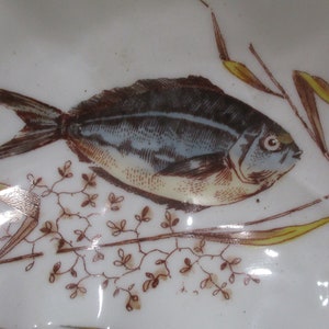 Fish Plate, Vintage Decorative Oyster-shaped Small Side Plate, Probably ...
