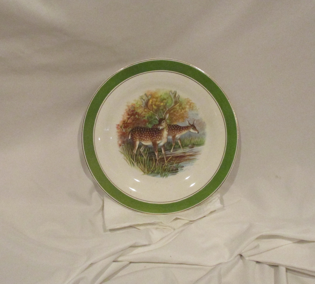 Buffalo Pottery Vintage Deer Plate: Teddy Roosevelt Wild Game - Etsy