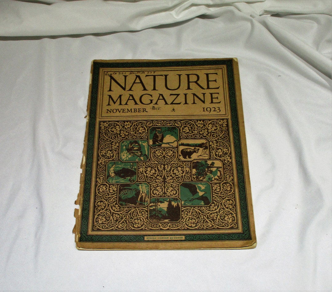 1923 Nature Magazine: Vintage Outdoors, Wildlife, National Parks - Etsy