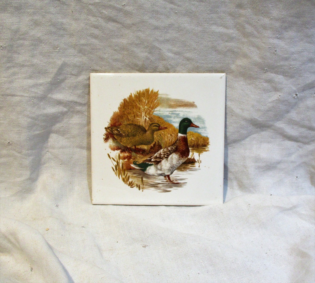 Vintage Mallard Duck Tile Trivet: Hyalyn Bird Series - Etsy