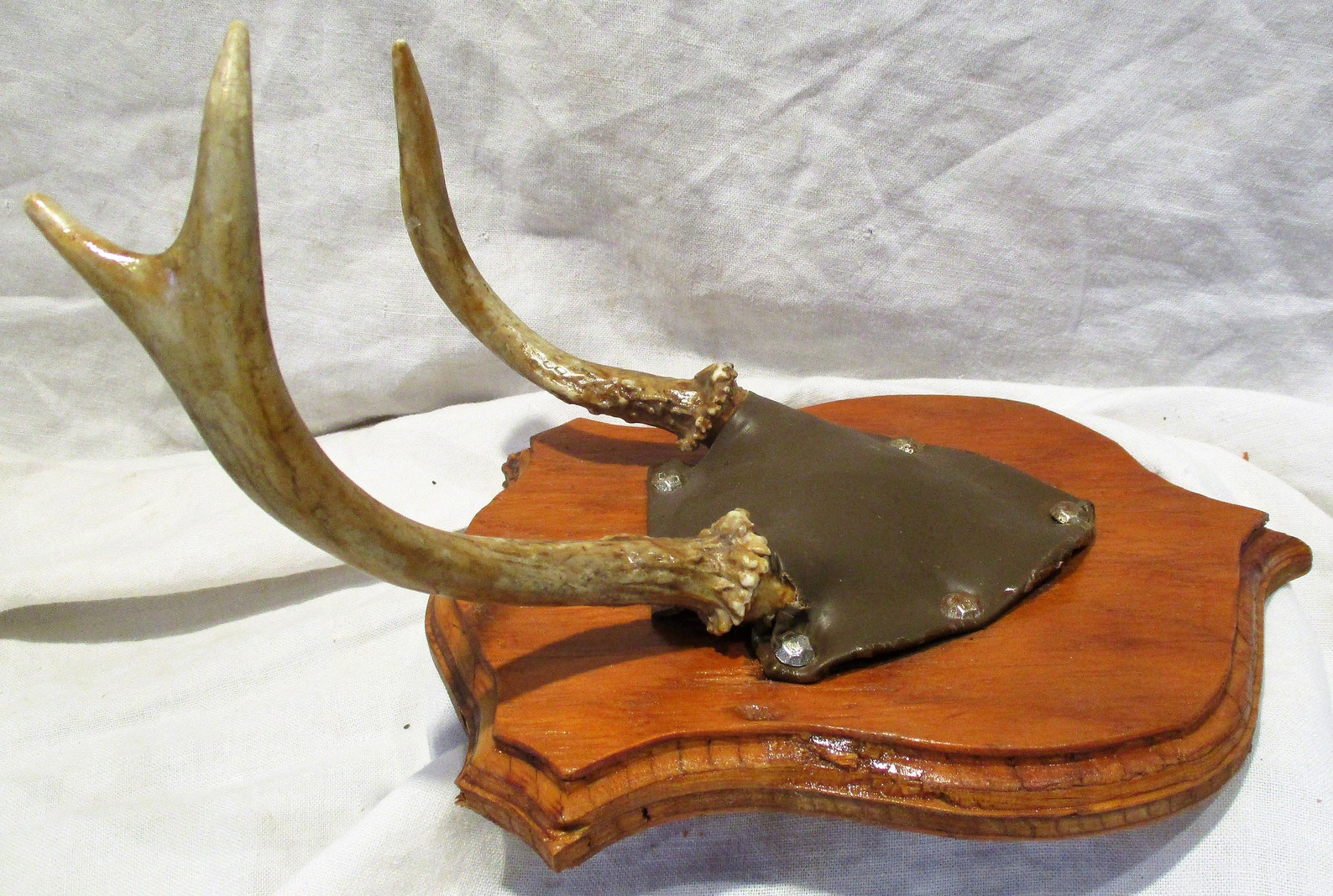 Deer Antlers and Mounted 3 Point Deer Skull Great Vintage | Etsy