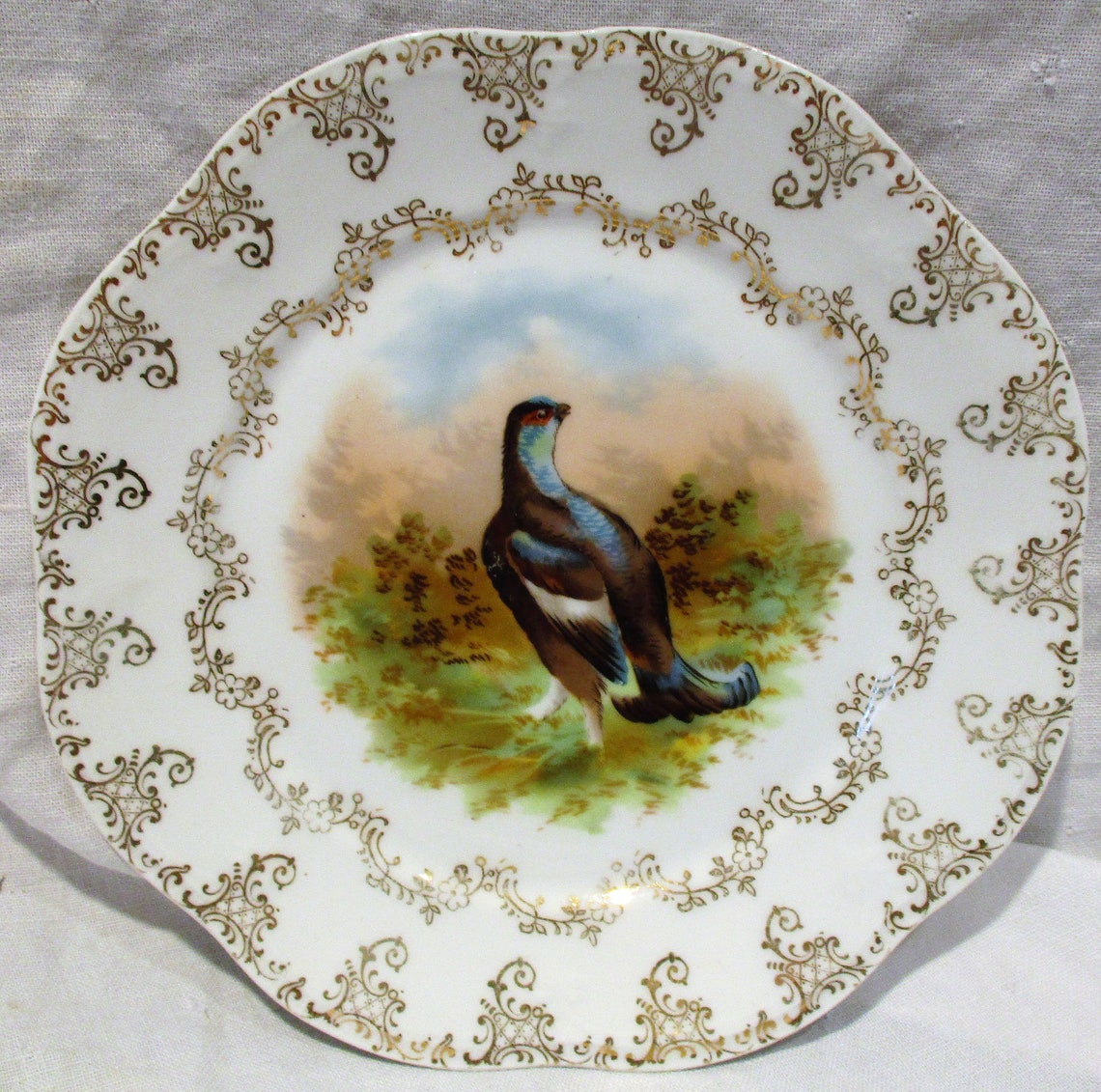 Decorative Bird Plate Antique Bavarian Plate Old German | Etsy