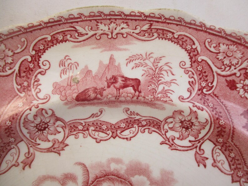 Antique Transferware Plate: William Adams & Sons, Columbus Series ...