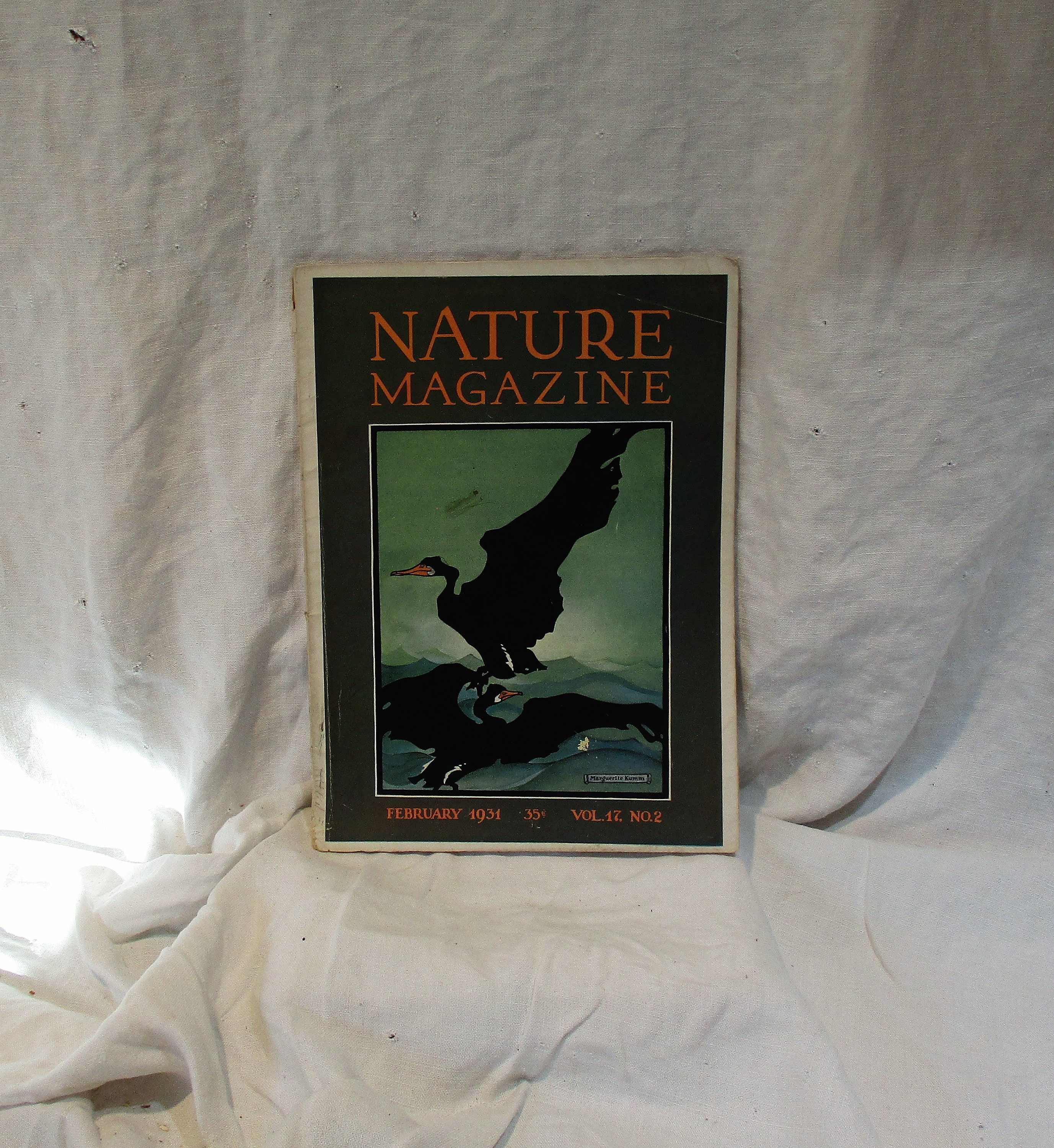 1931 Nature Magazine Vintage Old Outdoors Magazine Old | Etsy