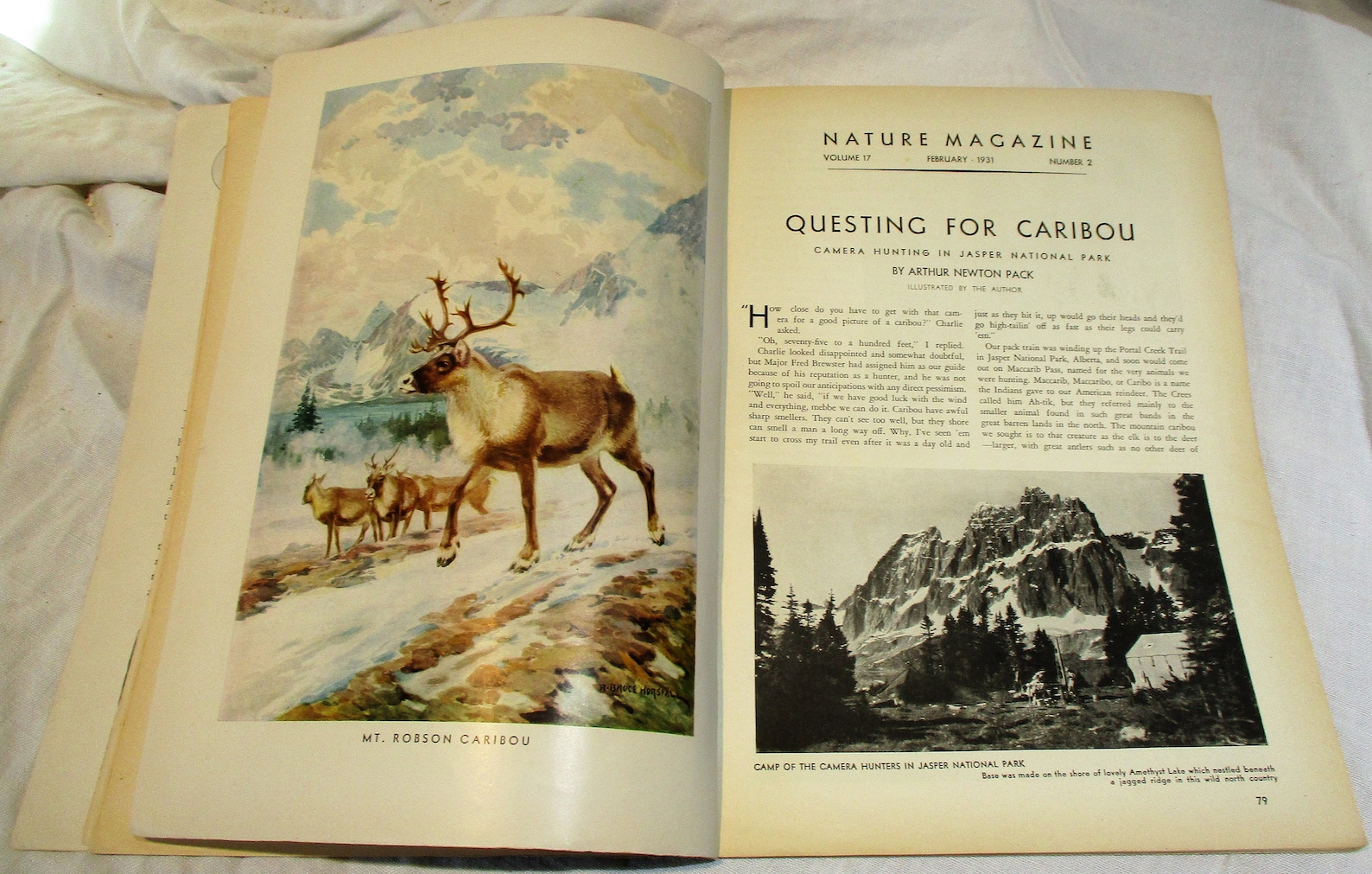 1931 Nature Magazine Vintage Old Outdoors Magazine Old | Etsy
