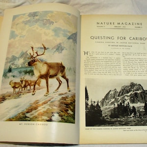 1931 Nature Magazine, Vintage Old Outdoors Magazine, Old Magazine ...