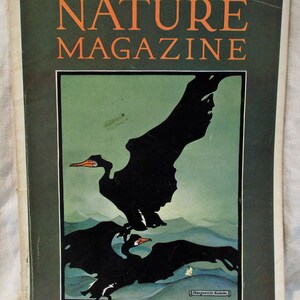 1931 Nature Magazine, Vintage Old Outdoors Magazine, Old Magazine ...