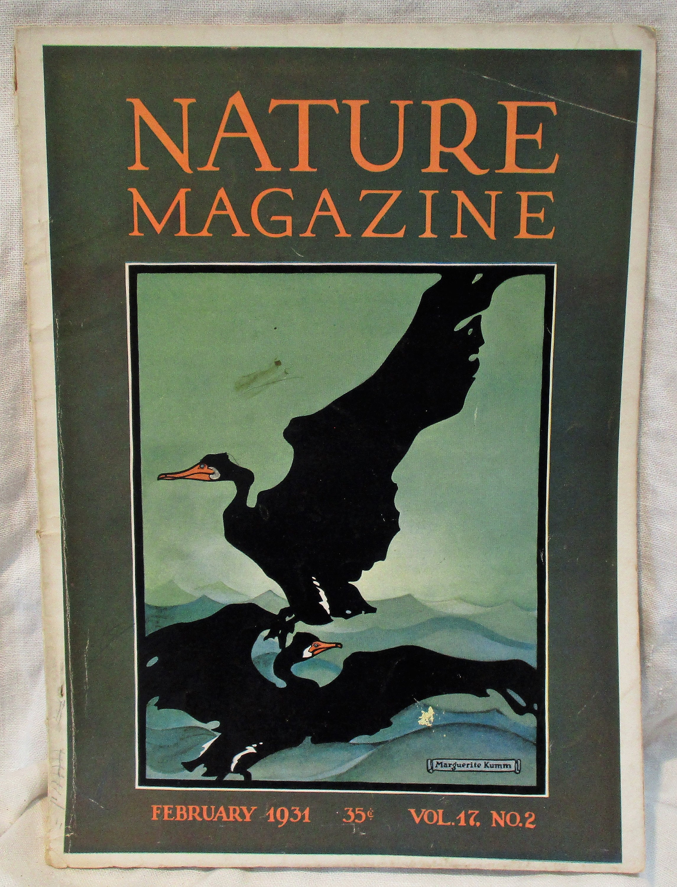 1931 Nature Magazine Vintage Old Outdoors Magazine Old | Etsy