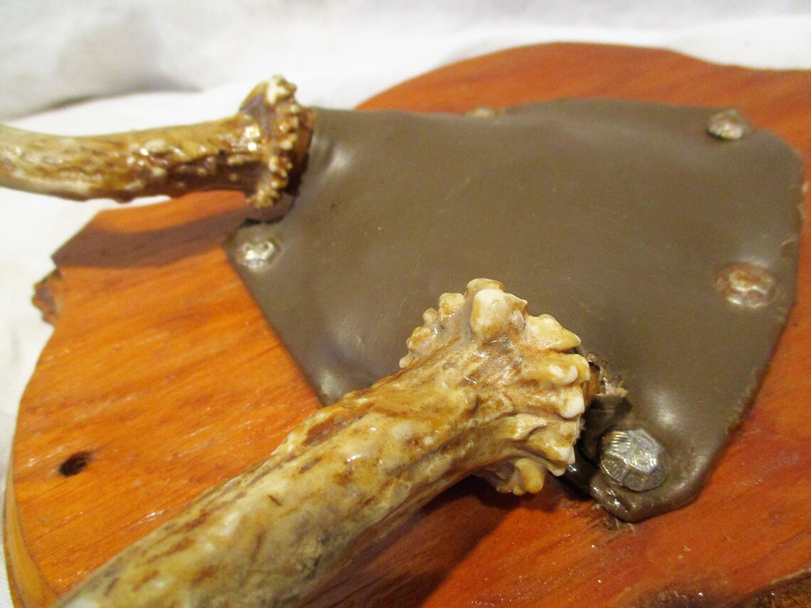 Deer Antlers and Mounted 3 Point Deer Skull Great Vintage | Etsy