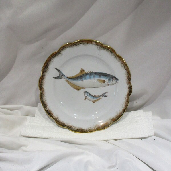Fish Plates - Etsy