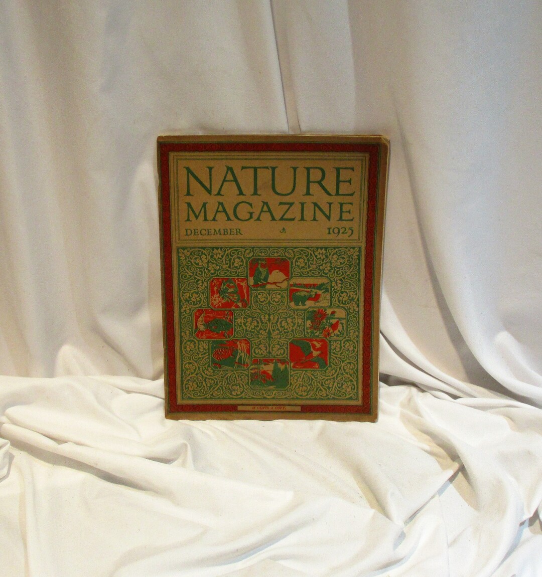 1925 Nature Magazine, Vintage Old Outdoors Magazine, Old Magazine ...