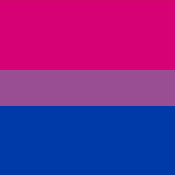 Bisexual Pride - Etsy