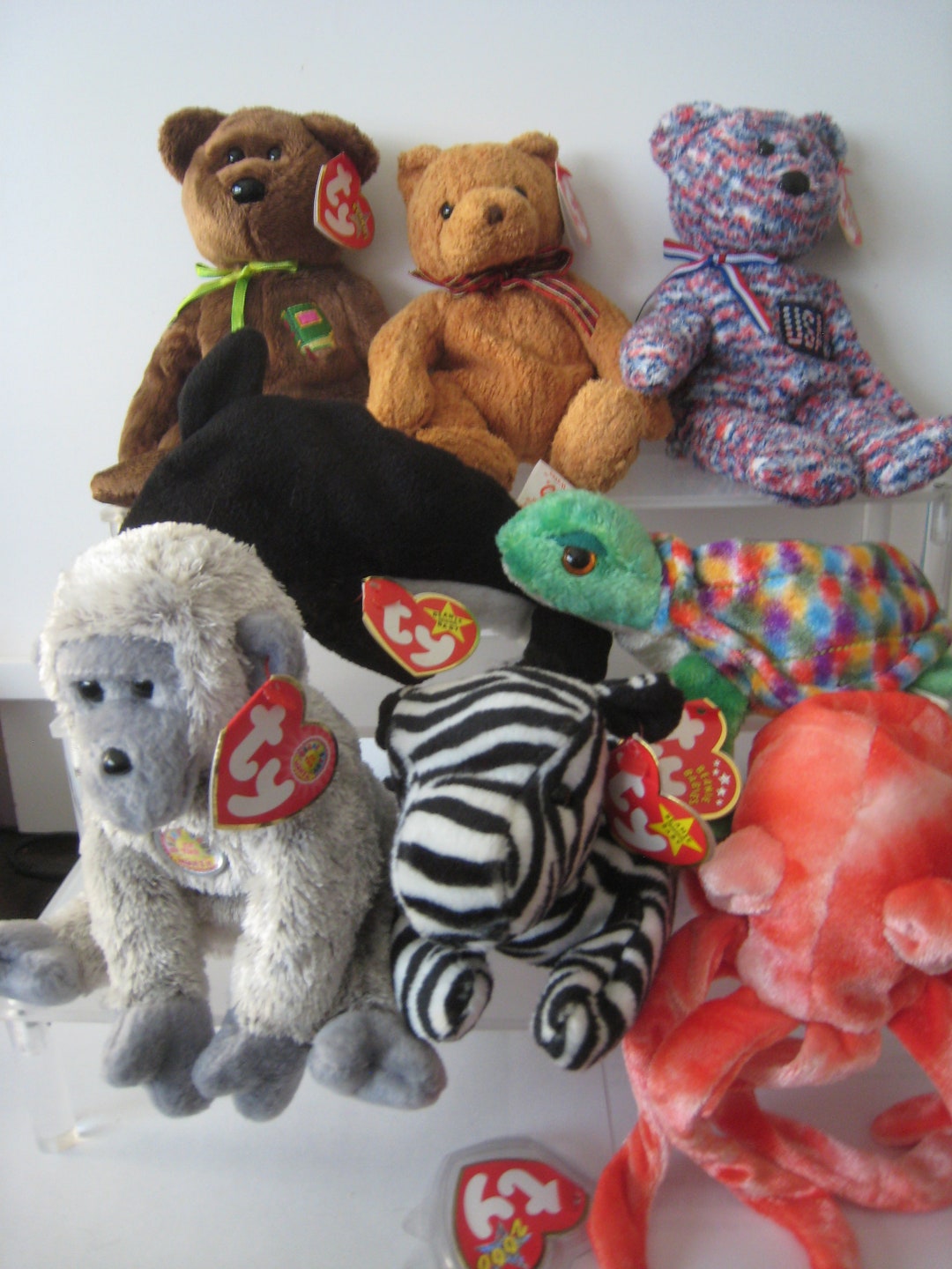 New Ty Beanie Babies USA the Bear William Closed Book - Etsy