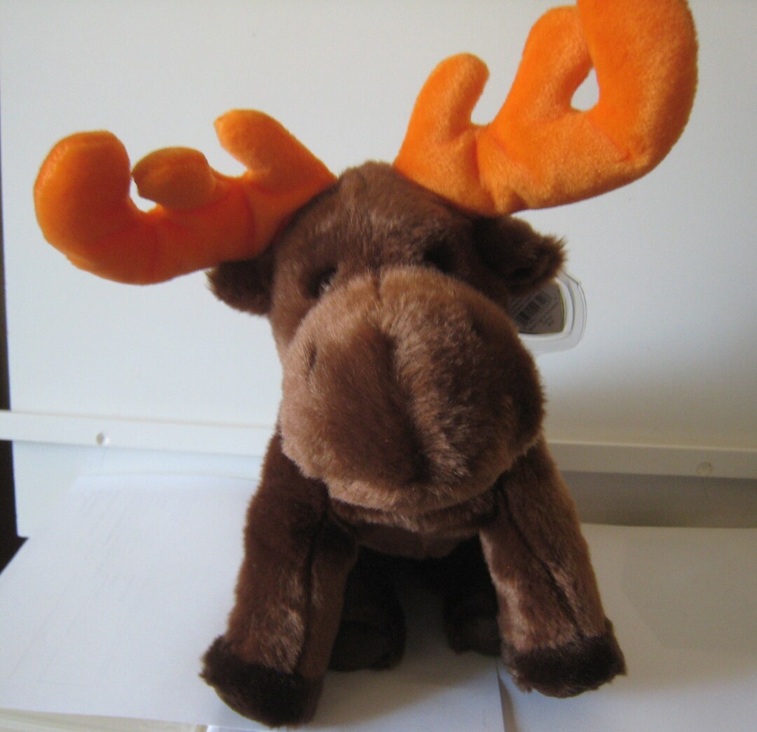 Chocolate the Moose. New Ty Beanie Buddy Brown W Orange Antlers Approx ...