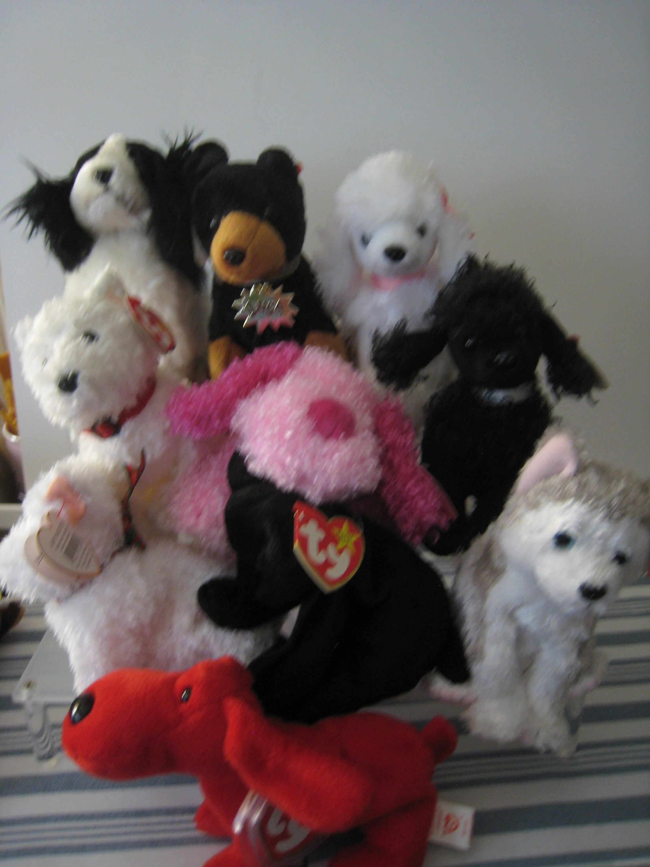 New Ty Beanie Baby Dogs Bijoux, Luca, Rover, Luke, Sparkles, Dundee, L ...