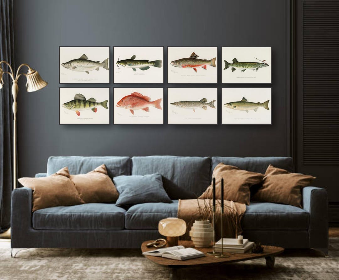 Antique fish Illustration Prints – Vintage Angling Art Set • Natural ...
