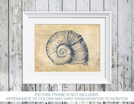 Seashell Poster 3 Print Poster Sea Shell Print Coastal Wall - Etsy