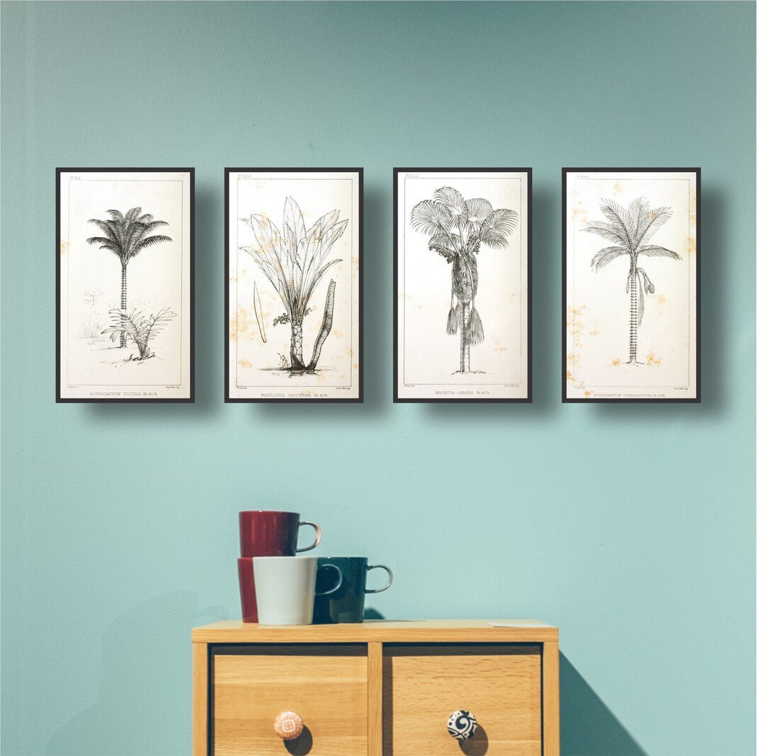 Vintage Palm Tree Drawing Posters - Set of 4 Posters (high Quality Art ...