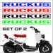 Honda Ruckus OEM Stock Vinyl Decal Decals Sticker Stickers Car Window ...