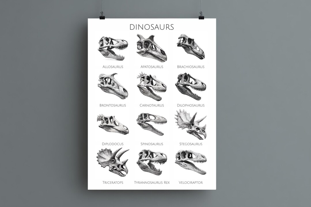 Dinosaur Skull Chart Print – Antique Paleontology Illustration ...