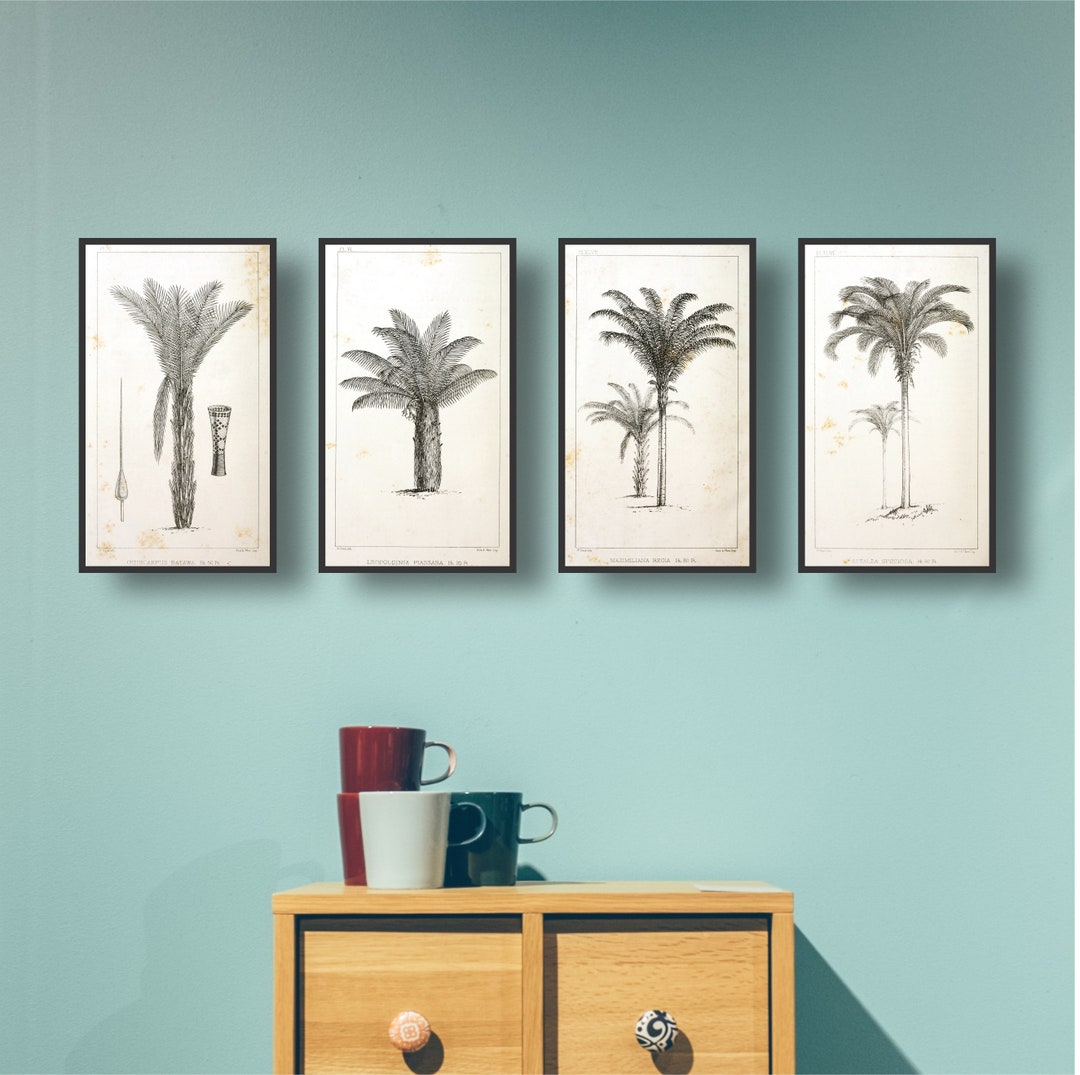 Vintage Palm Tree Drawing Posters - Set of 4 Posters (high Quality Art ...