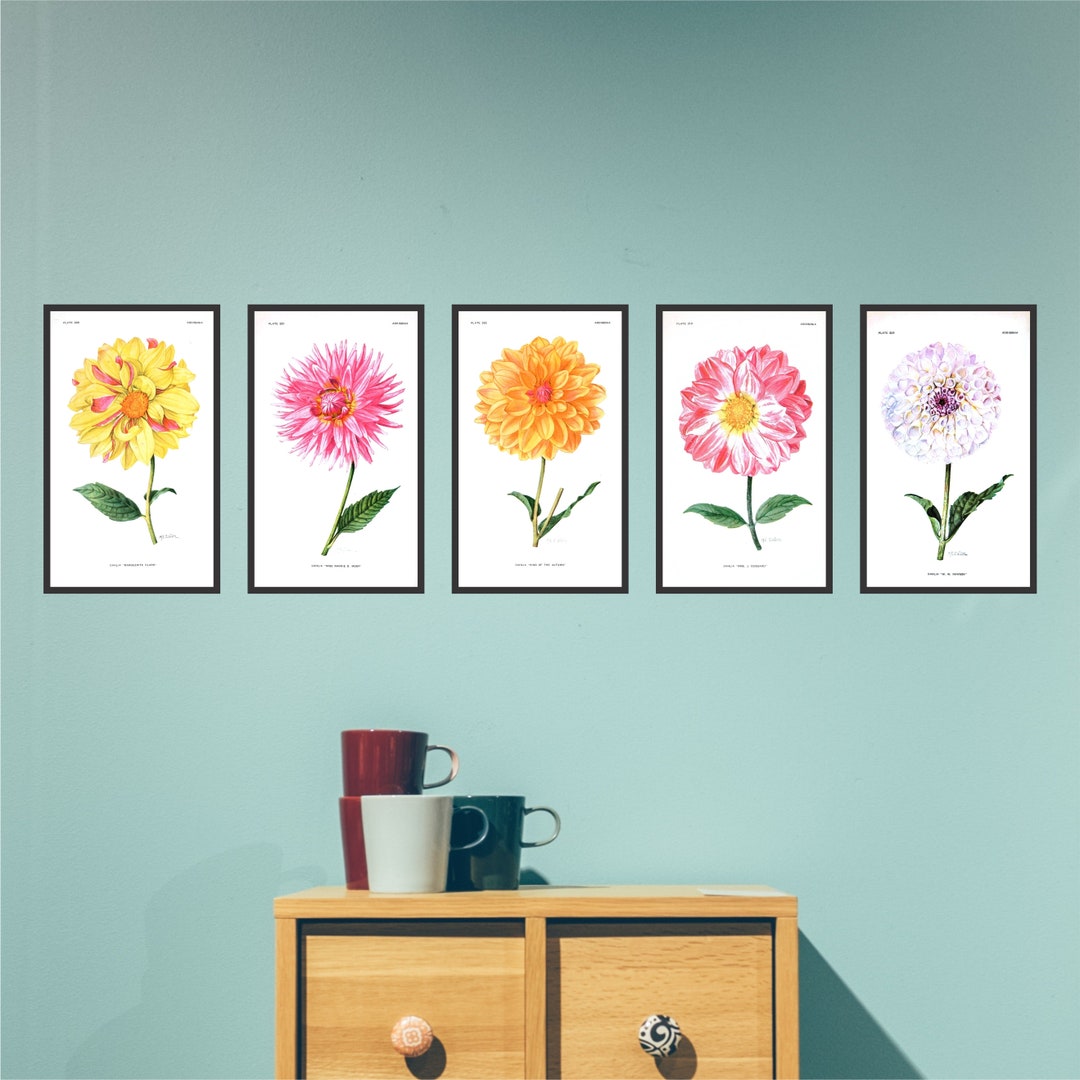 Vintage Flower Drawing Posters - Set of 5 Posters (high Quality Art ...