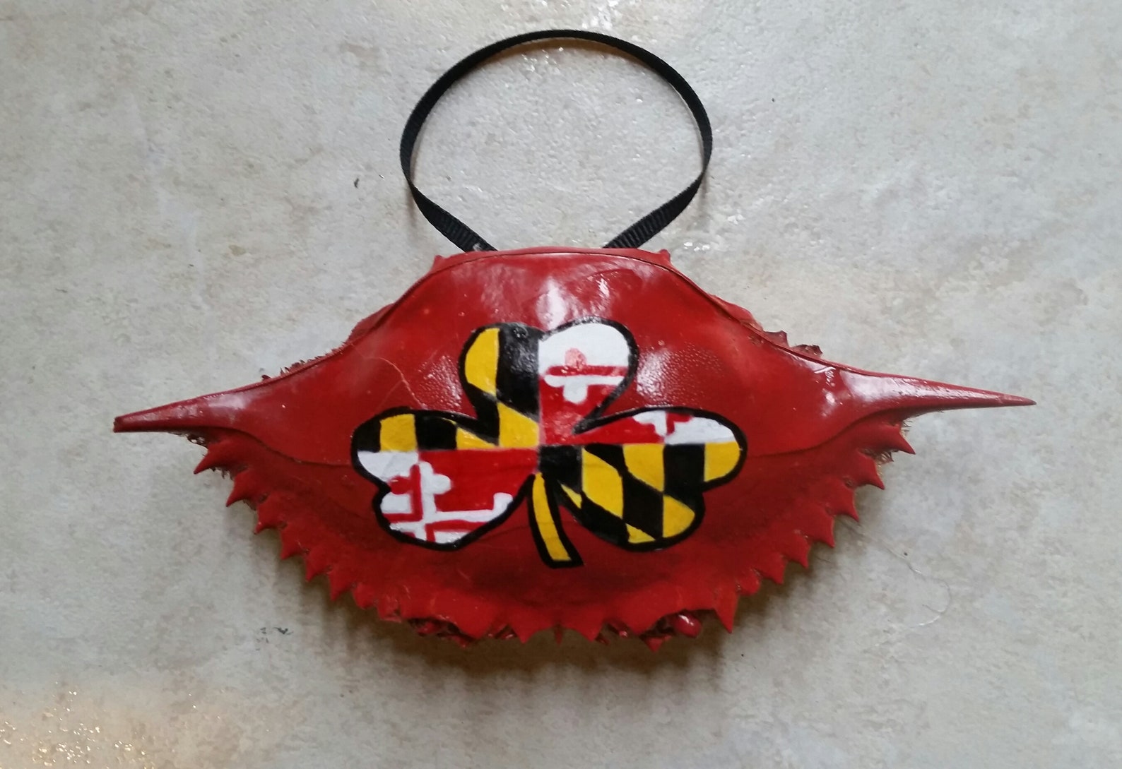 Maryland Painted Crab Shells - Etsy
