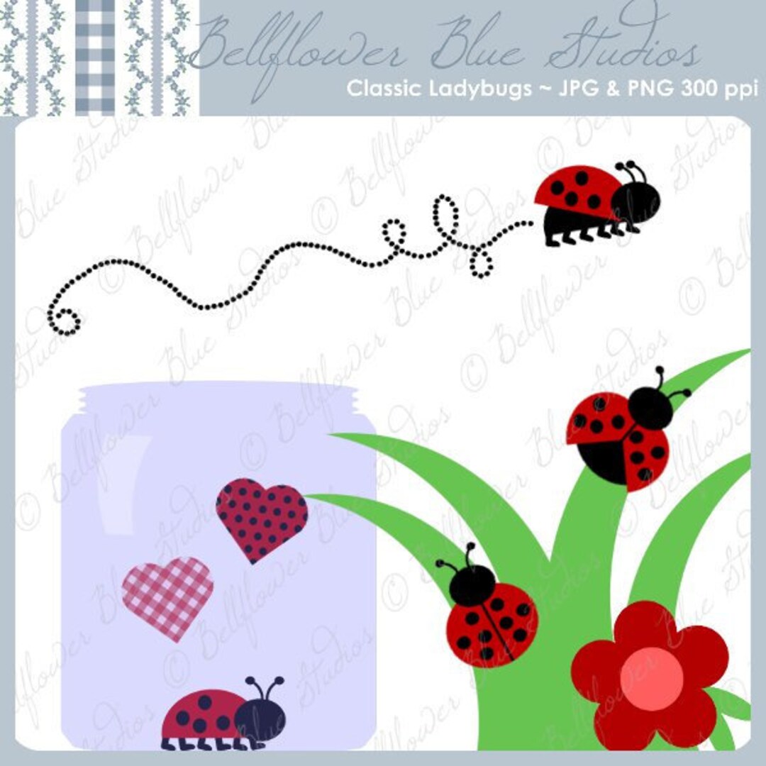 Ladybugs Digital Clipart (classic Red and Black) - Etsy