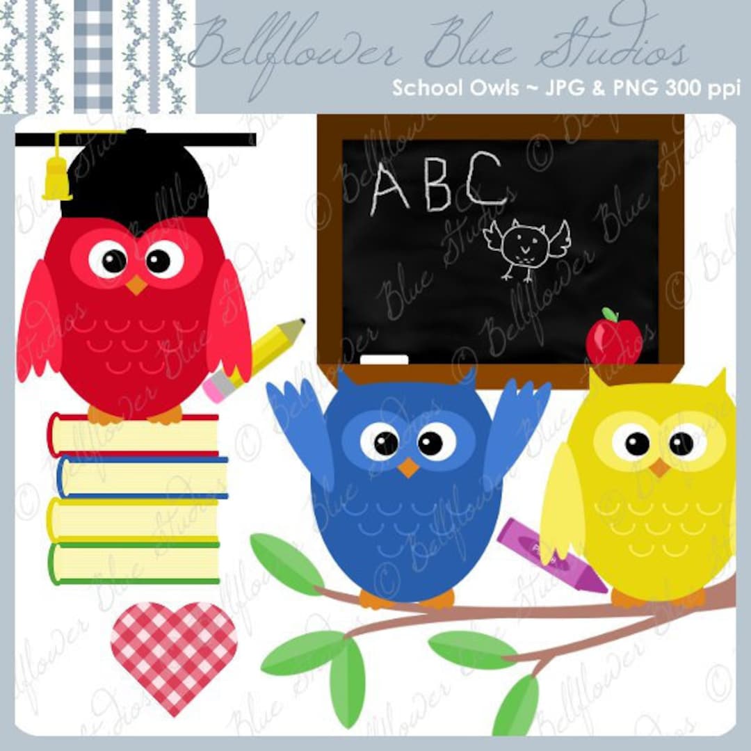 School Owls Digital Clipart - Etsy