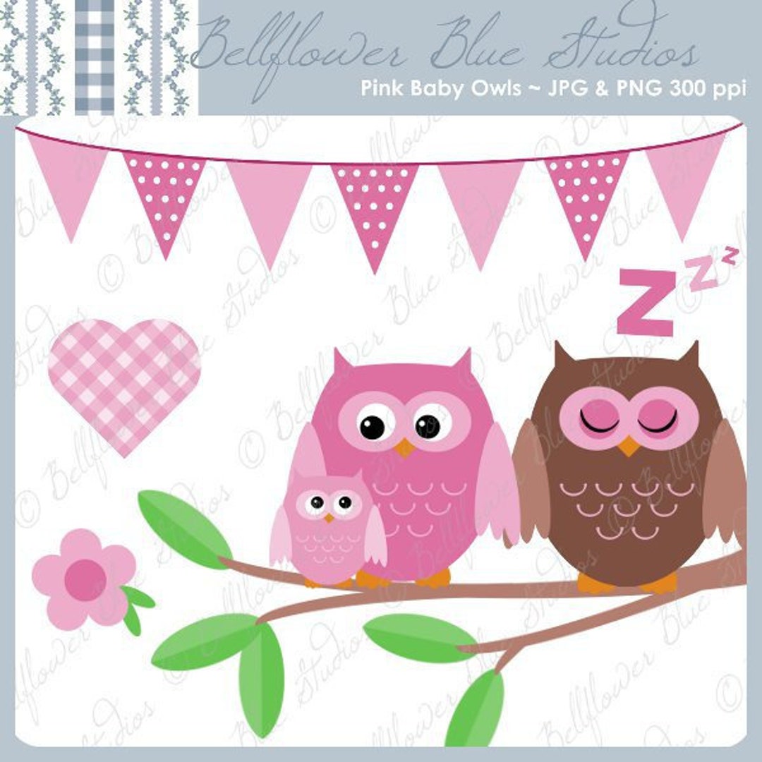 Pink Baby Owls Digital Clipart - Etsy