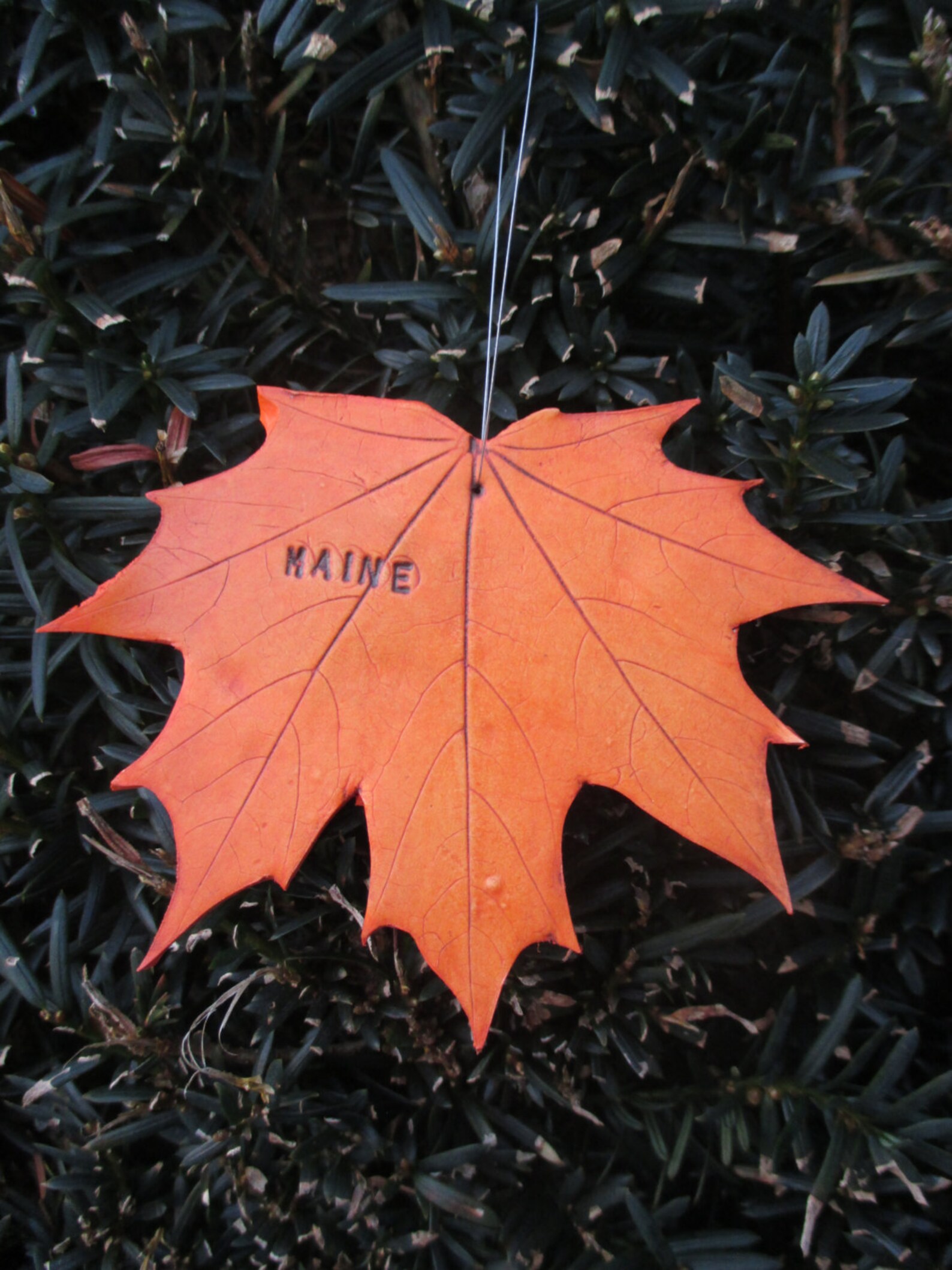 Custom Choose State Maine Maple Leaf Christmas Ornament Teacher Gift ...