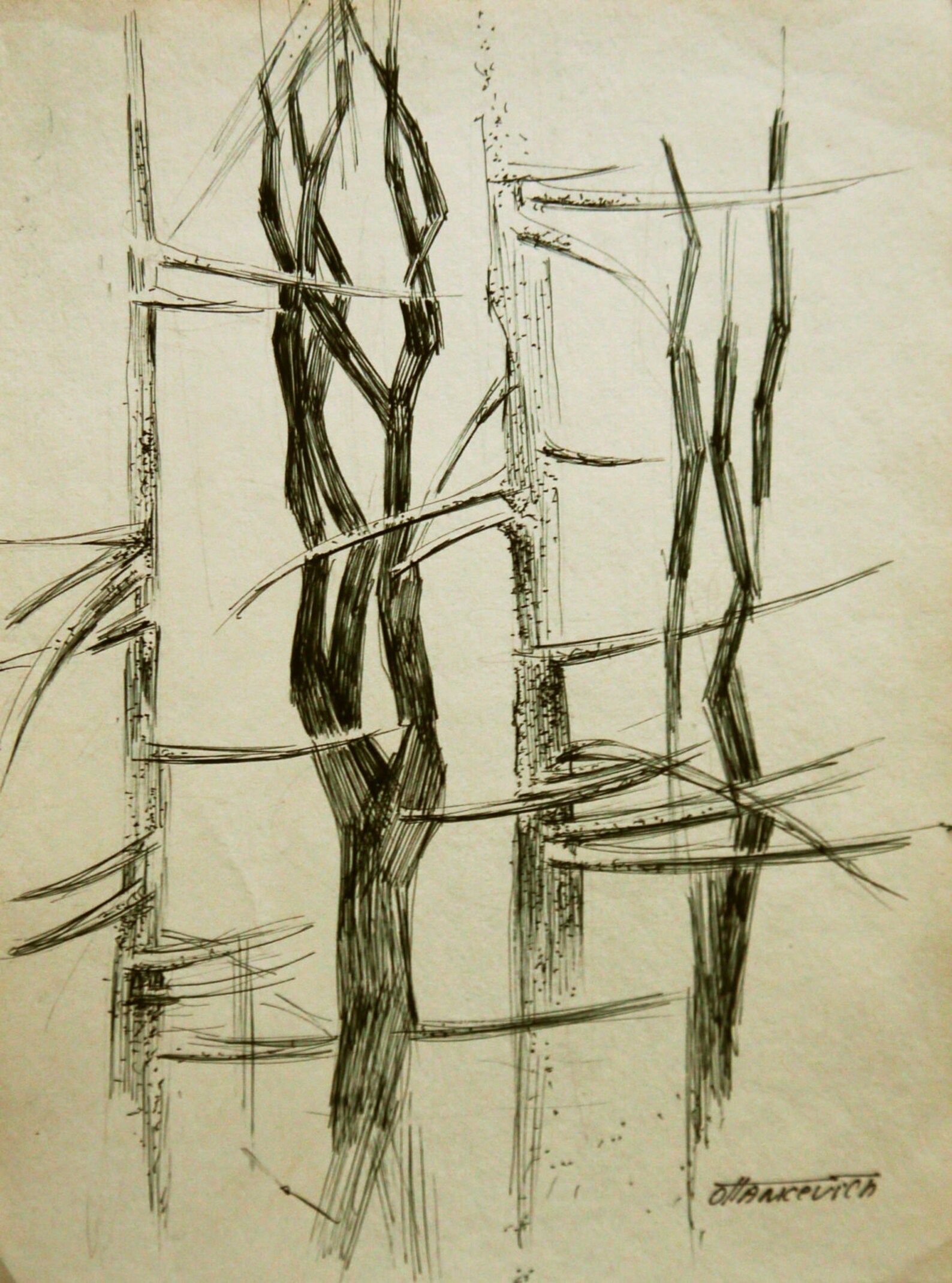 Trees in Drawing. Trees Sketch. Branches Drawing. Original Drawing of ...