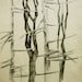 Trees in Drawing. Trees Sketch. Branches Drawing. Original Drawing of ...