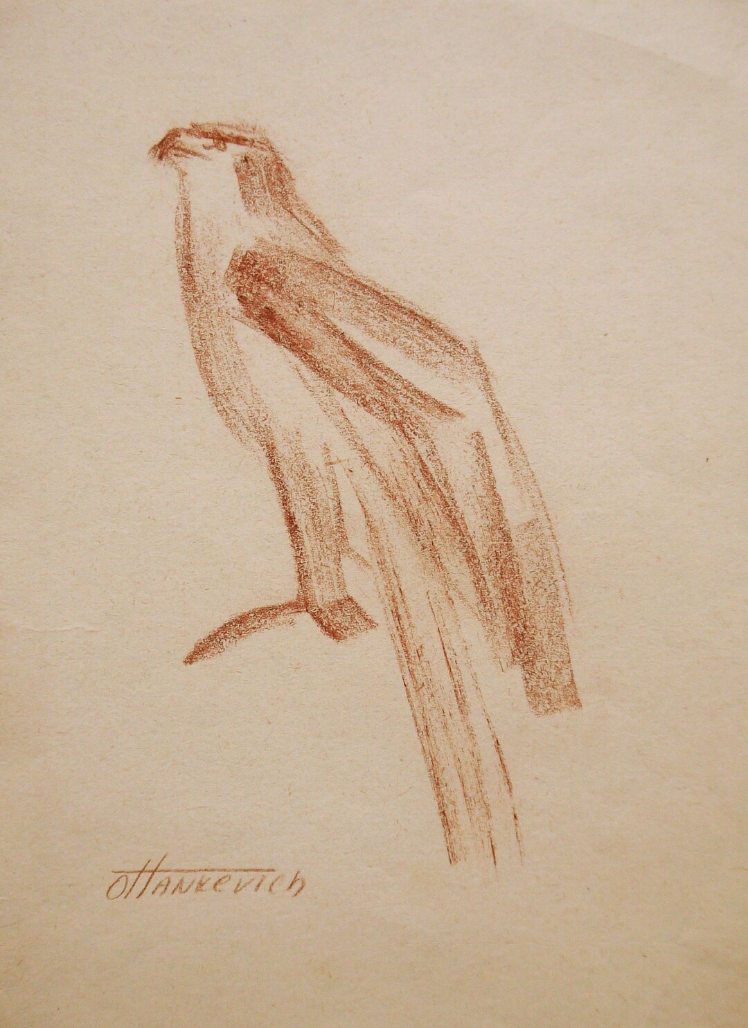 Falcon Drawing. Falcon in Art. Falcon Illustration. Pastel Drawing ...
