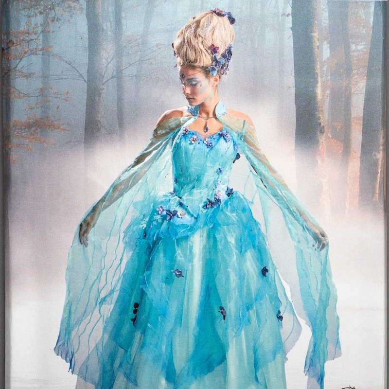 Ice Fairy Costume - Etsy