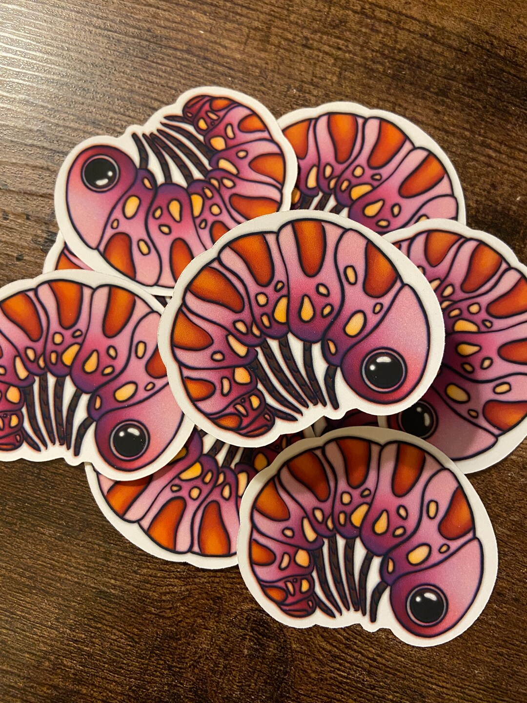 Cottagecore Rolly Polly Bug Matte Sticker - Etsy