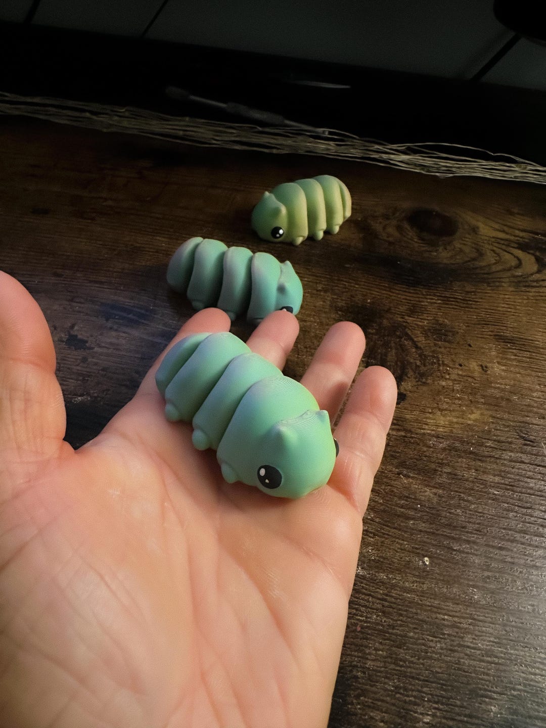 Cute Chonky Grub Bug 3D Printed Fidget Desk Insect Pet Toy - Etsy UK