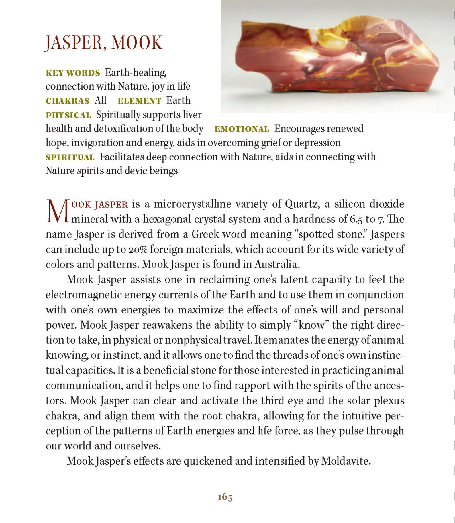 Australian Mook Jasper Earrings Connection With Nature Grounding Liver Health Overcoming Loss ...