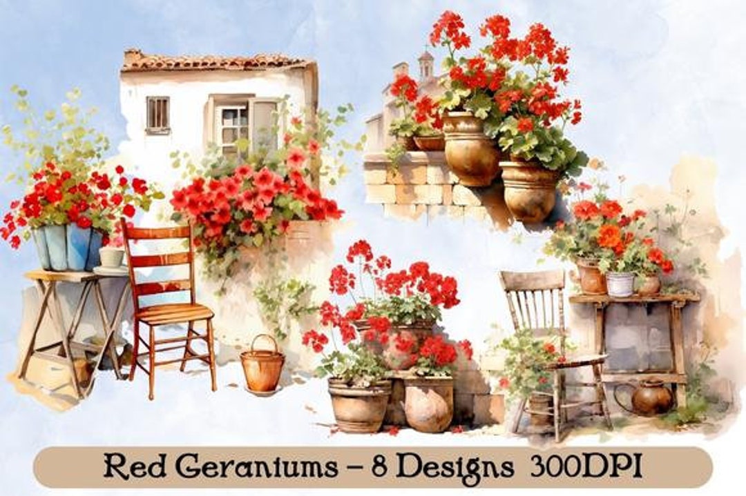 Watercolor Red Geraniums Clip Art Digital Download PRINTABLE INSTANT ...