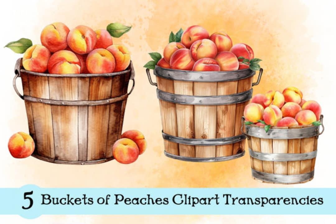 5 Watercolor Buckets of Peaches Peach Illustrations Transparencies ...