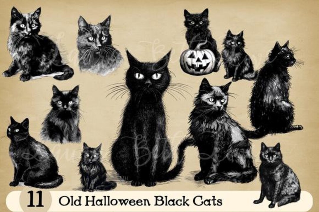Old Halloween Black Cats Clip Art Illustrations Transparencies Digital ...