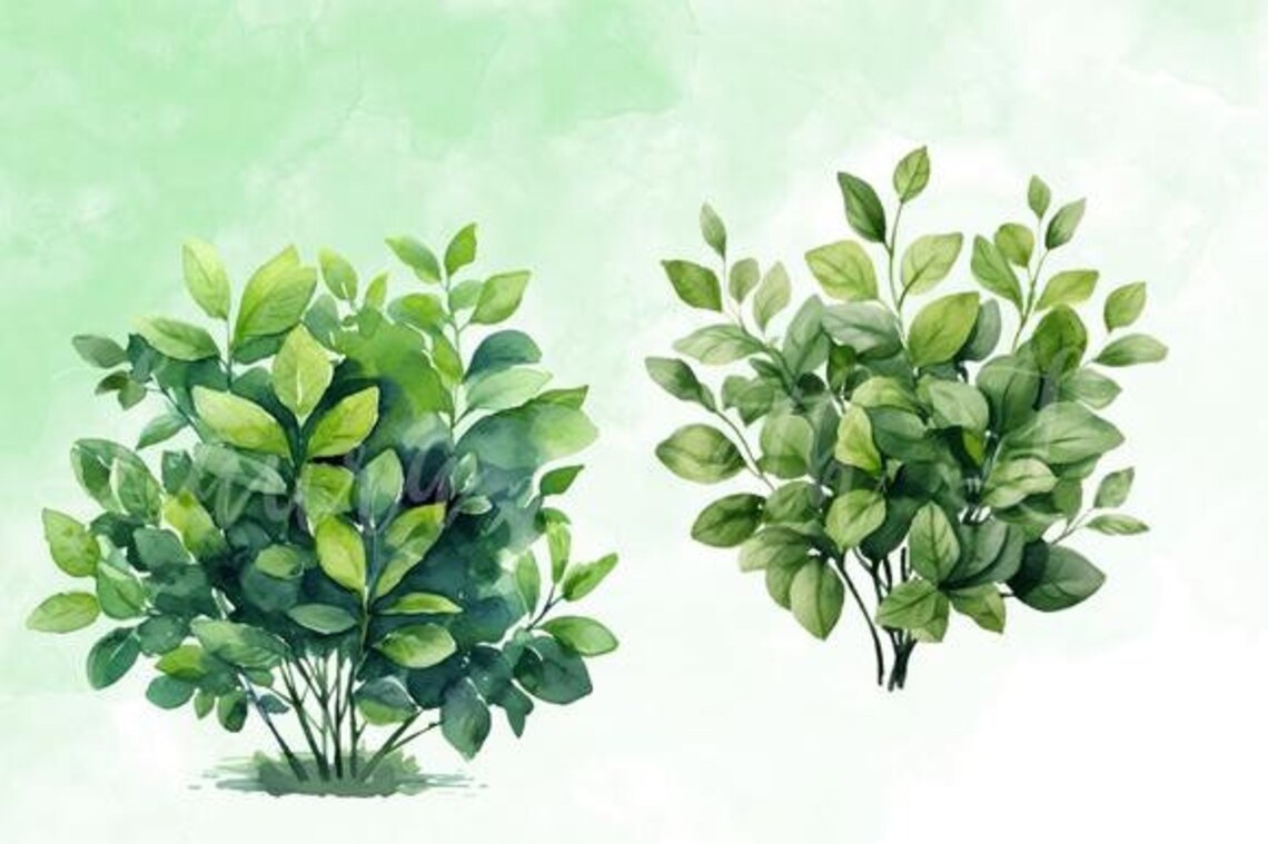 Watercolor Leafy Green Bushes & Branches - Digital Download - PRINTABLE ...
